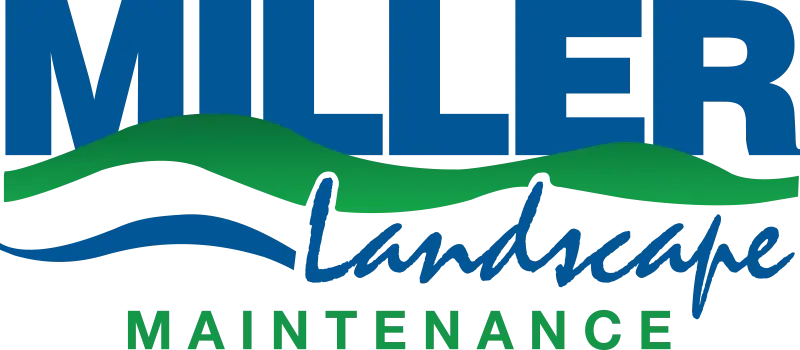 Lawn Maintenance | Yard & Landscape Maintenance